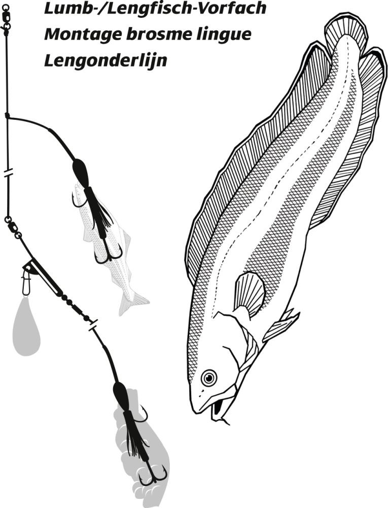 Rhino Návazec Tusk Ling Rig 50 kg 420 cm - Rybářské potřeby Rybina